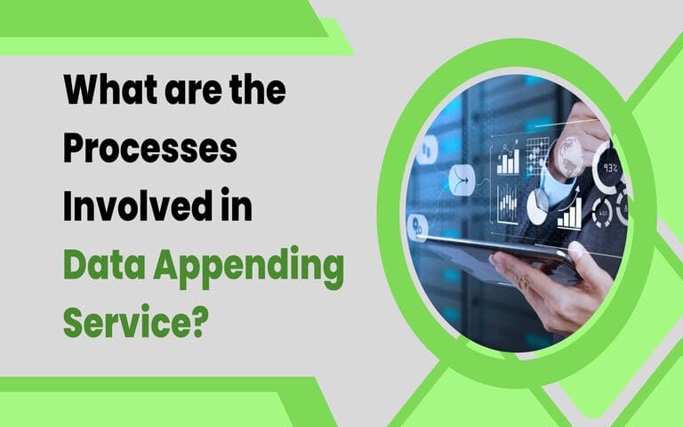 What are the Processes involved in Data Appending Service?